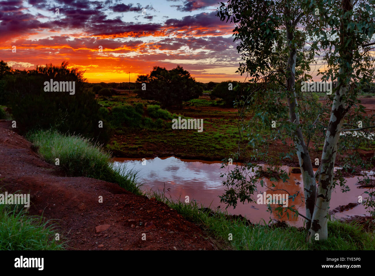 Kookynie, North Eastern Goldfields, Western Australia Stock Photo - Alamy