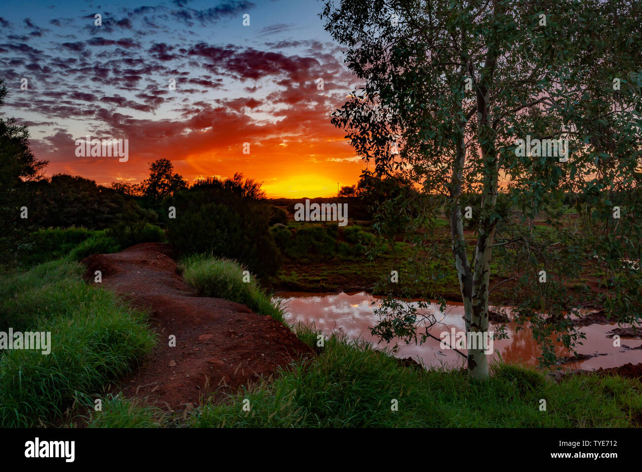 Kookynie australia hi-res stock photography and images - Alamy