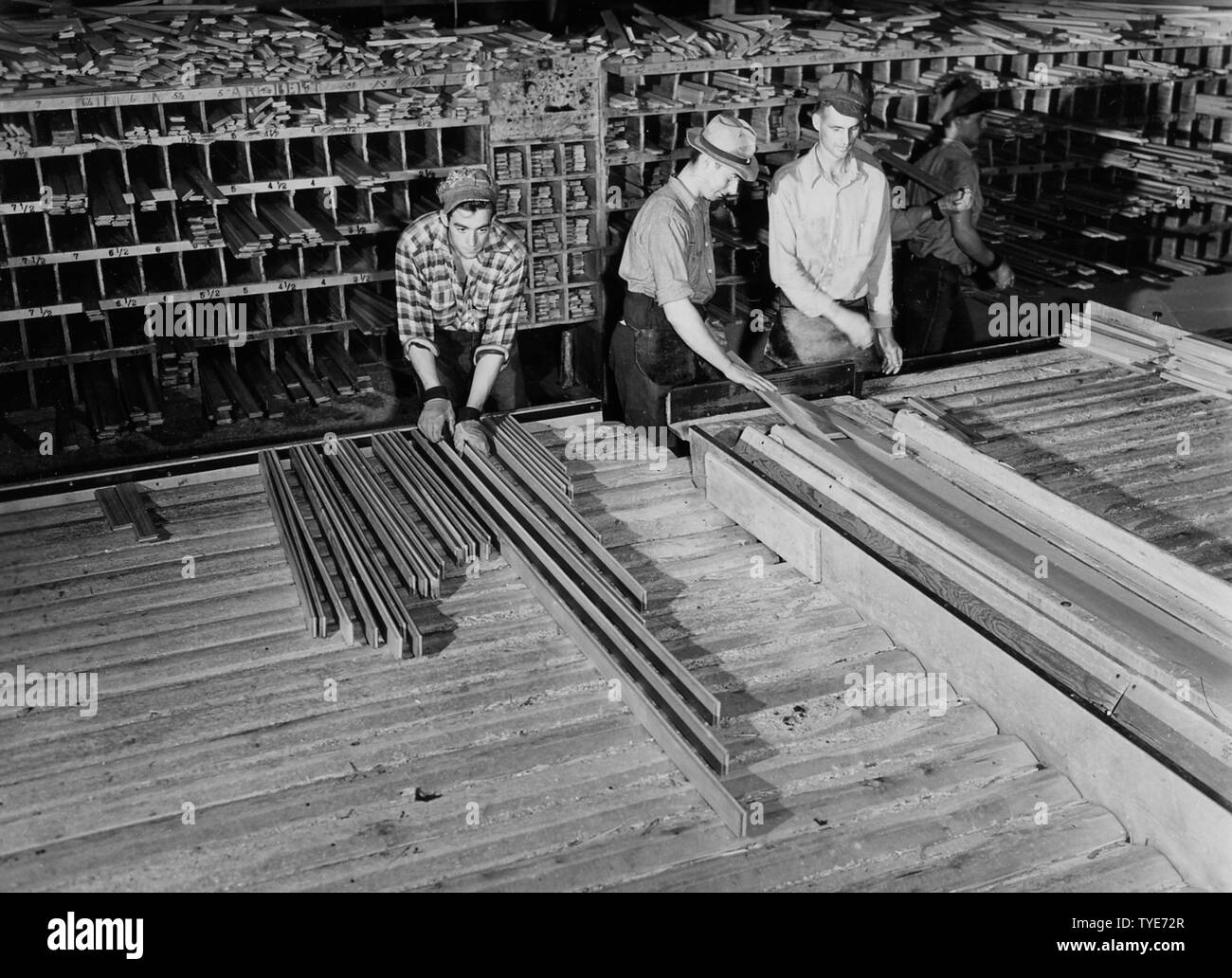 Photograph of Sorting Table in the Flooring Mill of the Connor Lumber ...