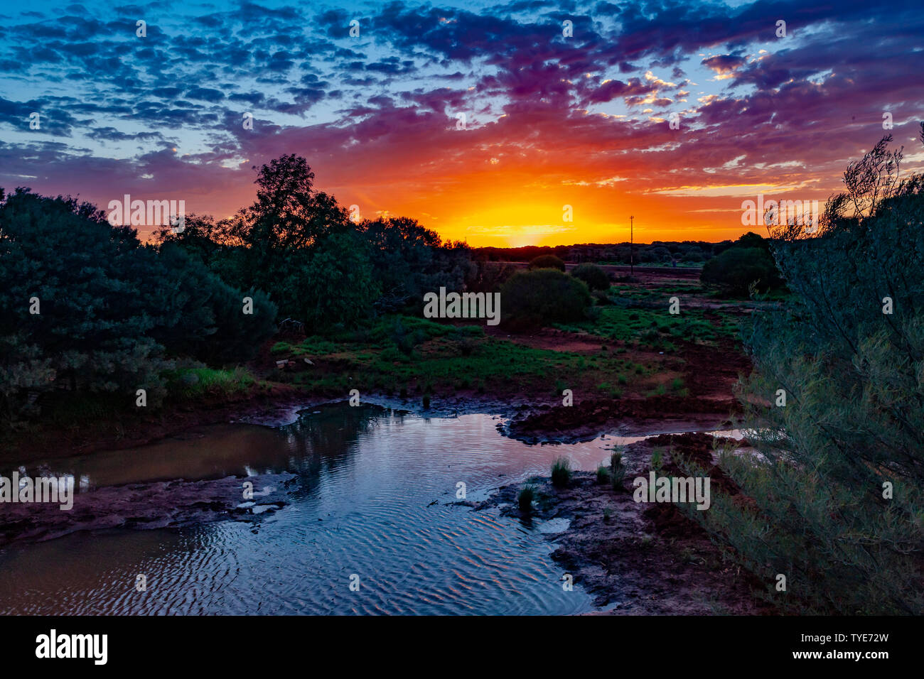 Australian goldfields hi-res stock photography and images - Alamy