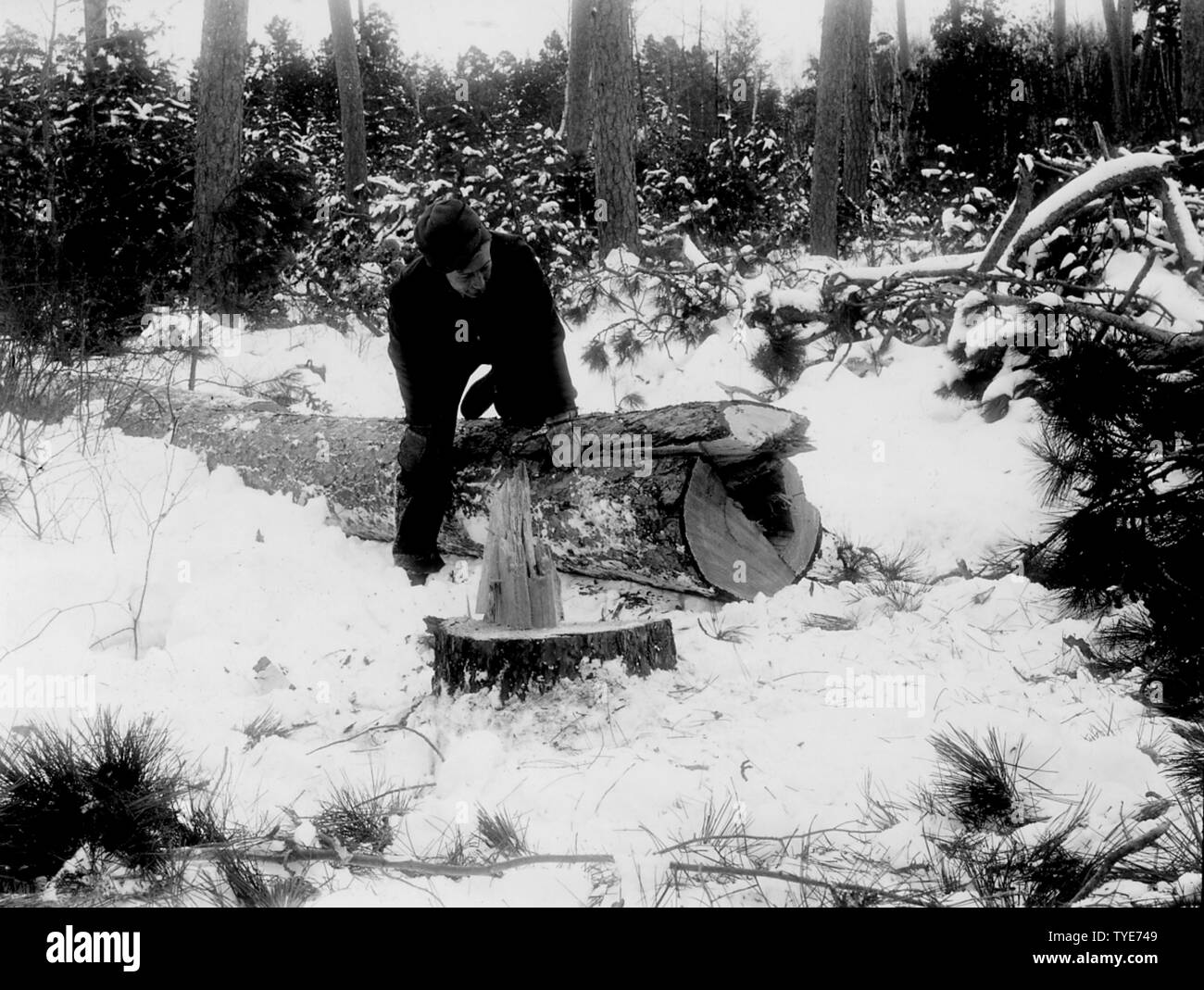 Photograph of Split Butt Log Resulting from Poor Notching; Scope and ...