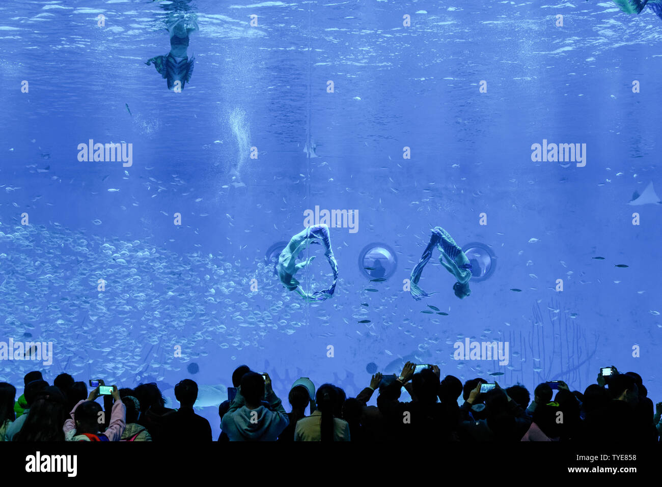Mermaid performance at Haichang Ocean Park, Shanghai Stock Photo - Alamy