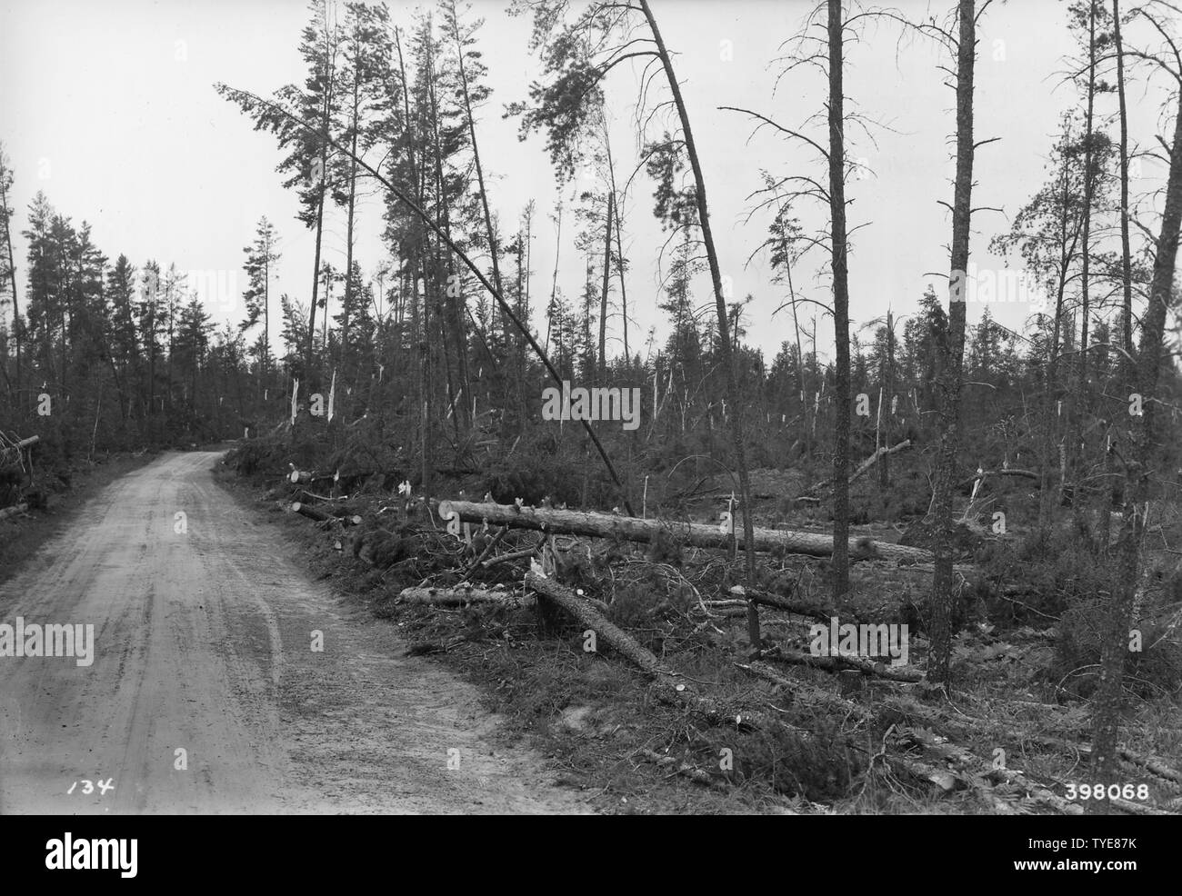 Photograph of Storm Damage; Scope and content: Original caption: Storm ...