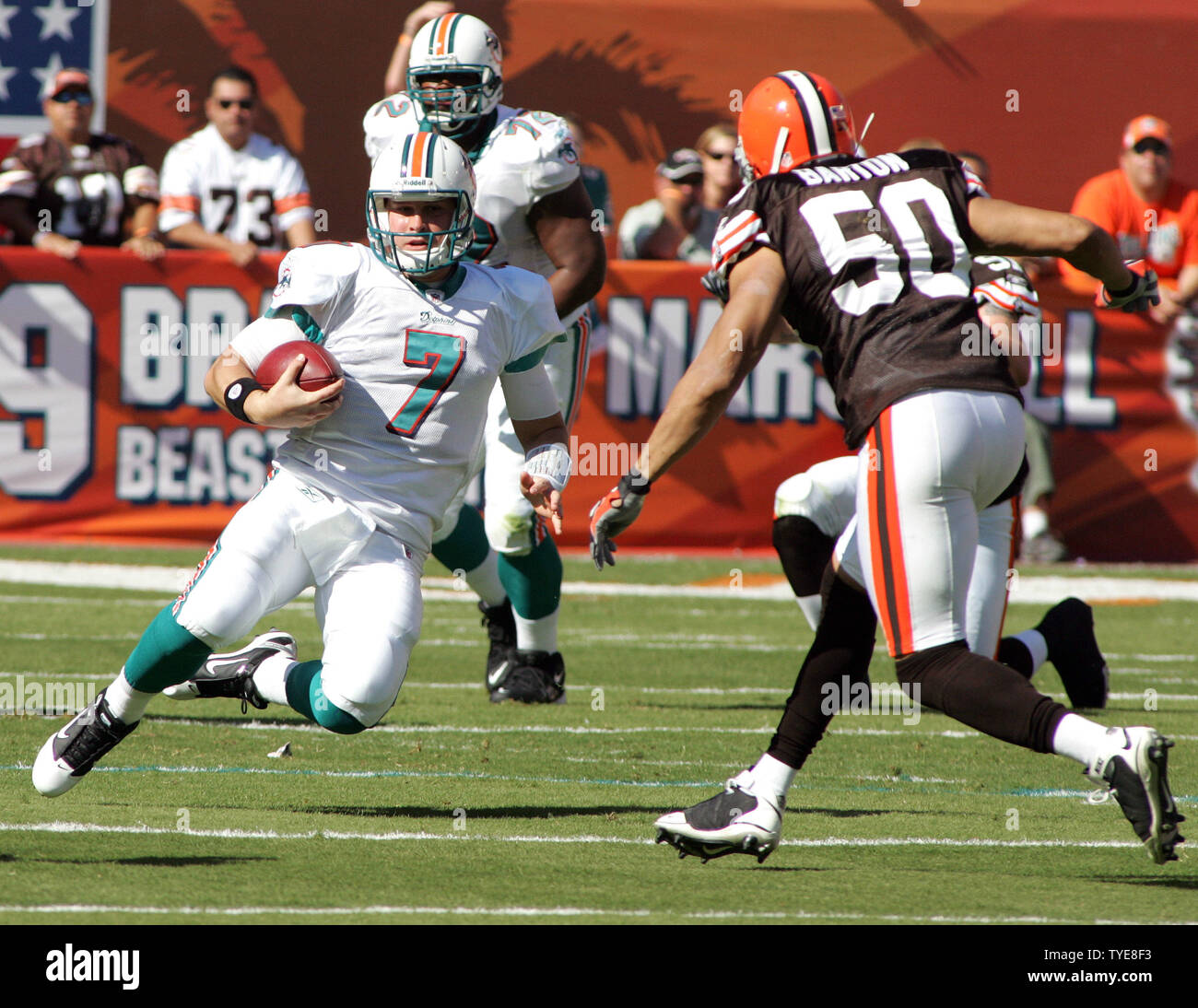 Scrambling bush hi-res stock photography and images - Alamy