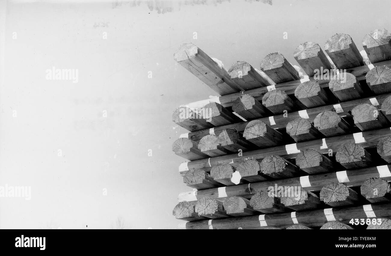 Photograph of Swenty's Sawed and Rabbeted Cedar and Tamarack Building ...