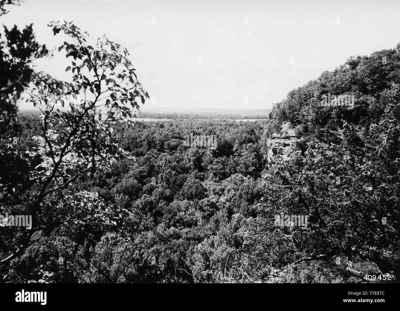 Photograph of Swallow Rock; Scope and content: Original caption ...