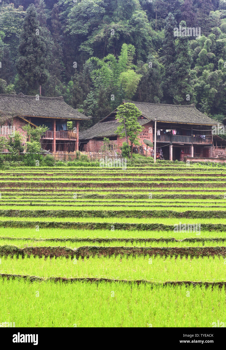 Pastoral fields and terraces hi-res stock photography and images - Alamy