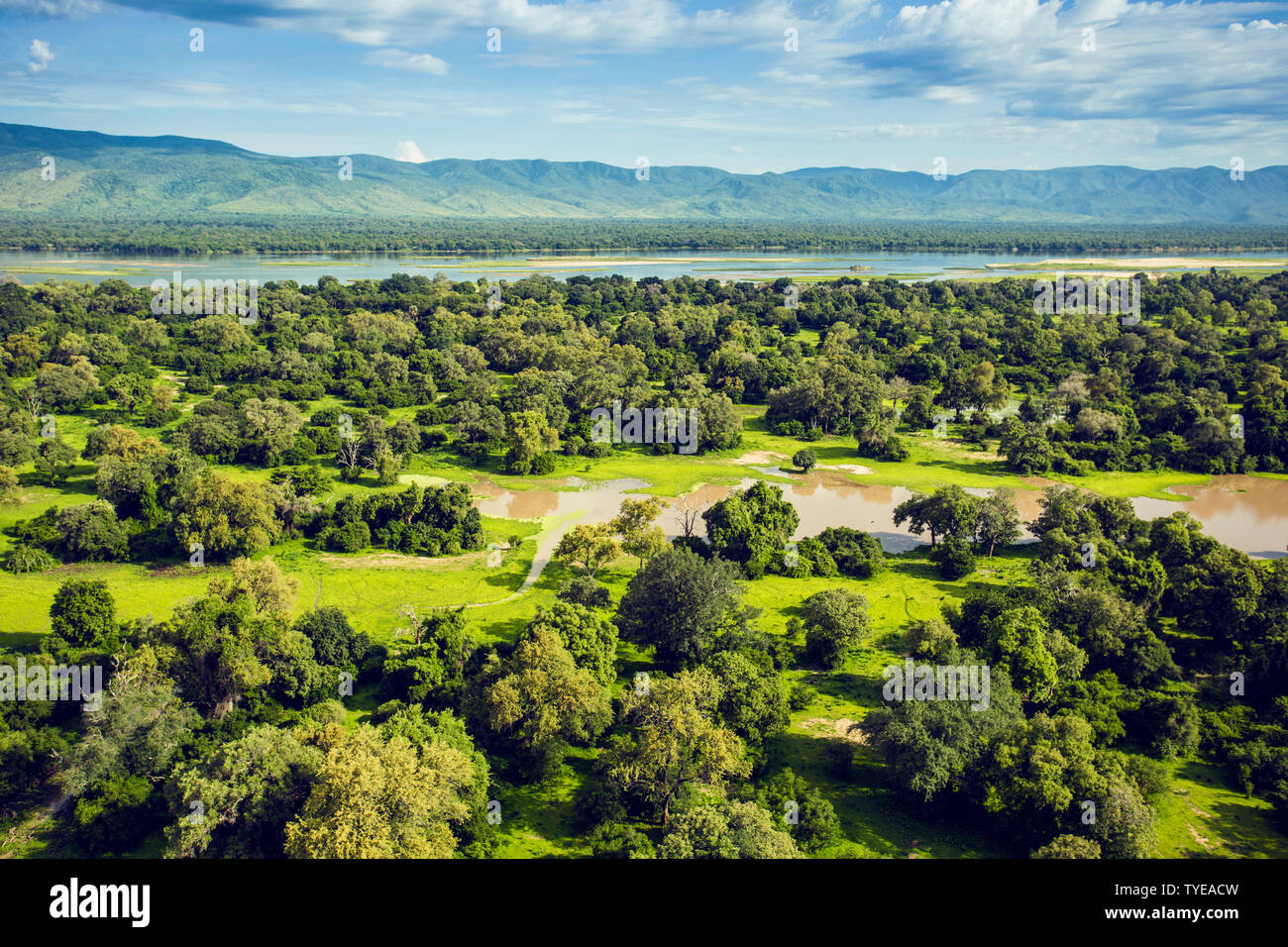 Africa, Zimbabwe, animals, nature pristine, Zambezi river, panorama ...