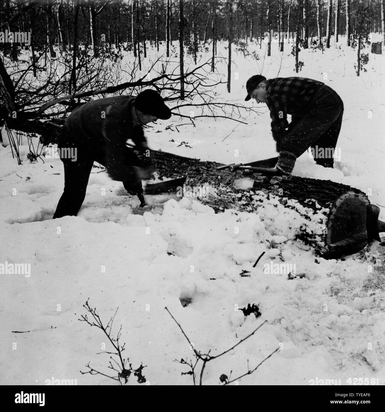 Photograph of Tie Cutting Operations; Scope and content: Original ...