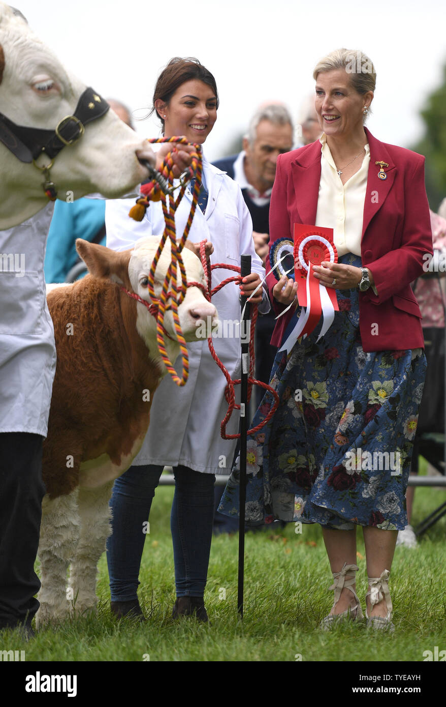The Countess of Wessex presents rosettes to livestock during the Royal ...