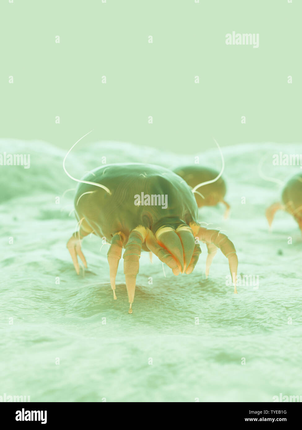 Dust ball monster hi-res stock photography and images - Alamy