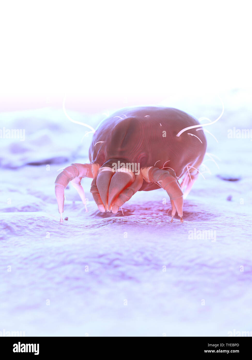 Dust ball monster hi-res stock photography and images - Alamy