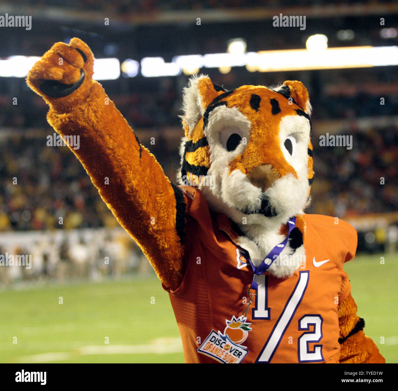 Clemson 1/2 cub mascot cheers during first half action, between the ...