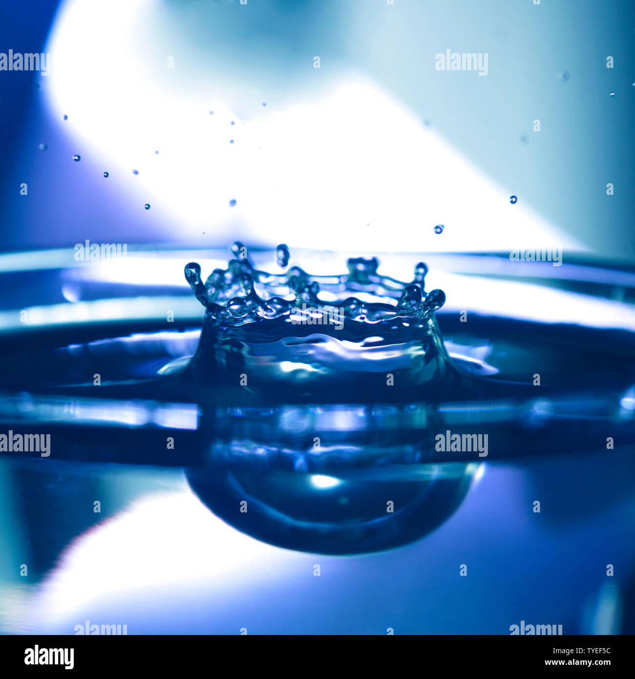 Microscopic water droplets hi-res stock photography and images - Alamy