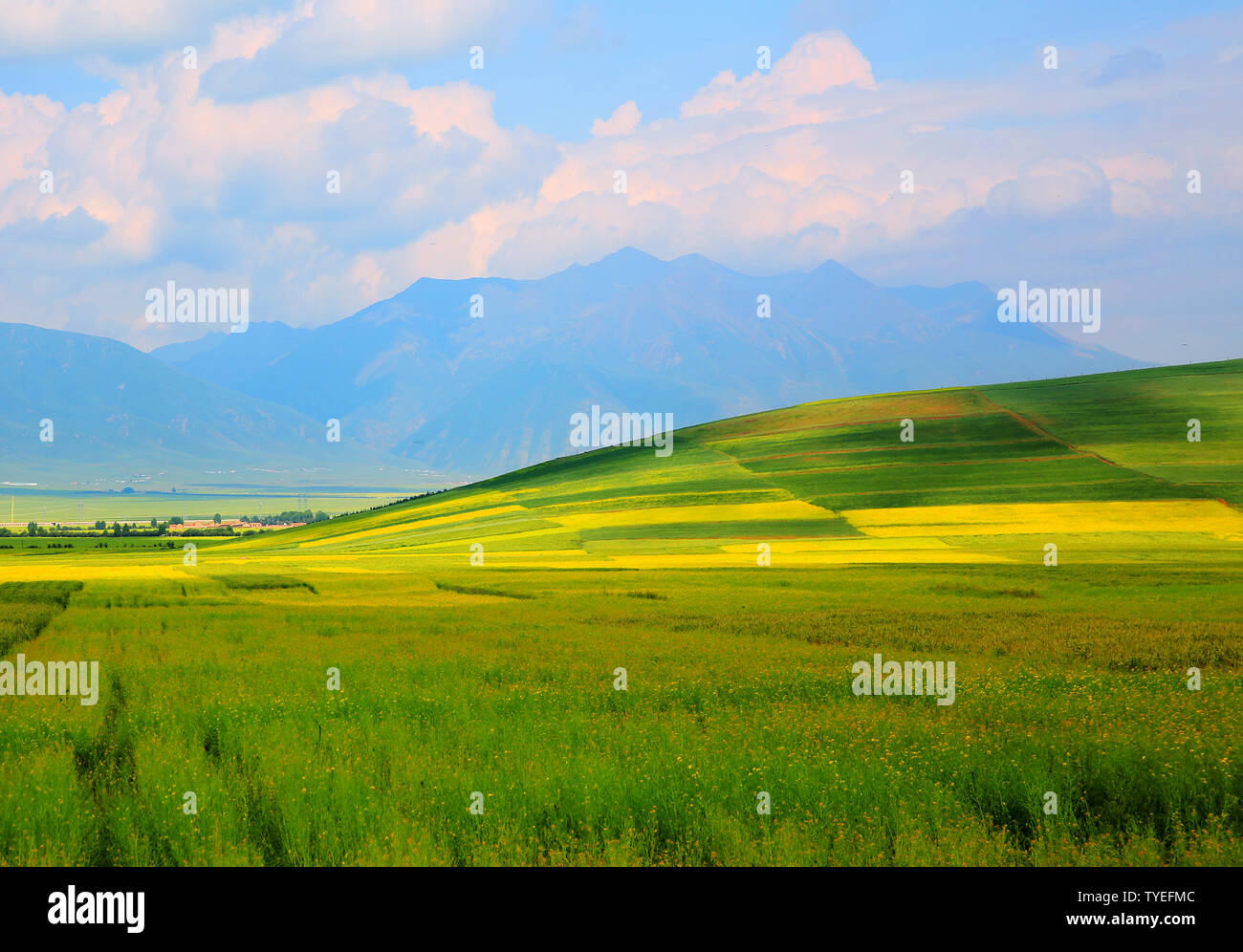 Northwest scenery hi-res stock photography and images - Alamy