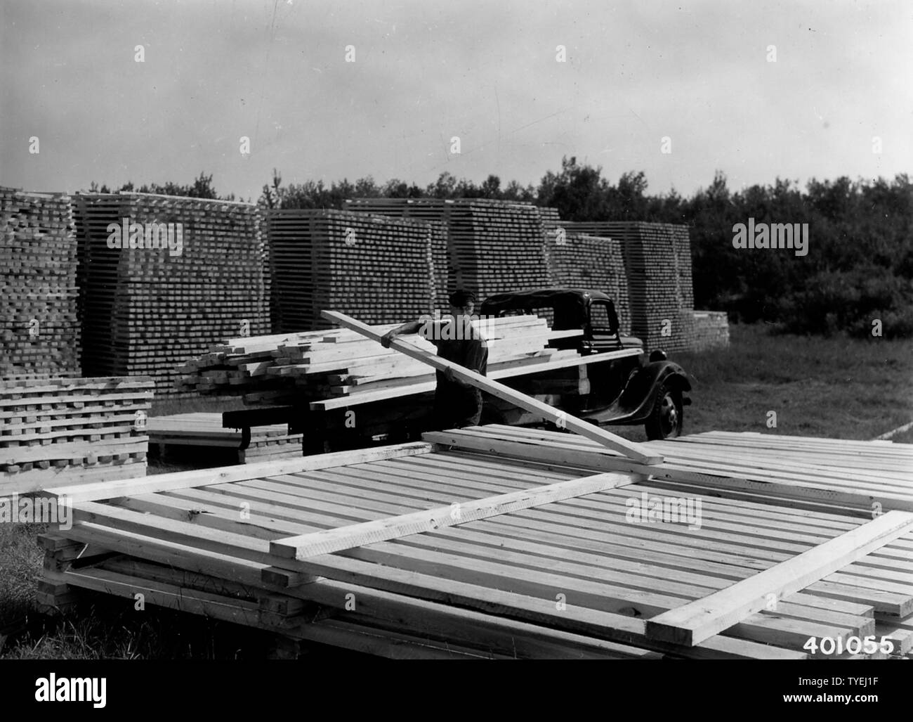 Photograph of Worker Piling Two-by-Six Red Pine Lumber; Scope and ...