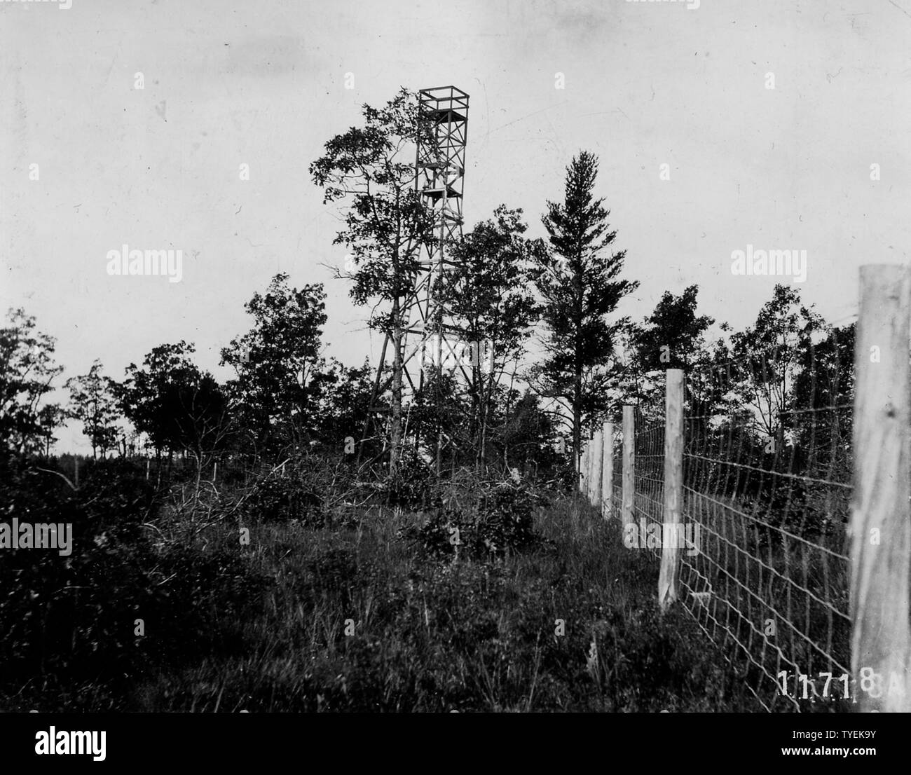 Photograph of a Fire Tower in Lower Michigan; Scope and content ...