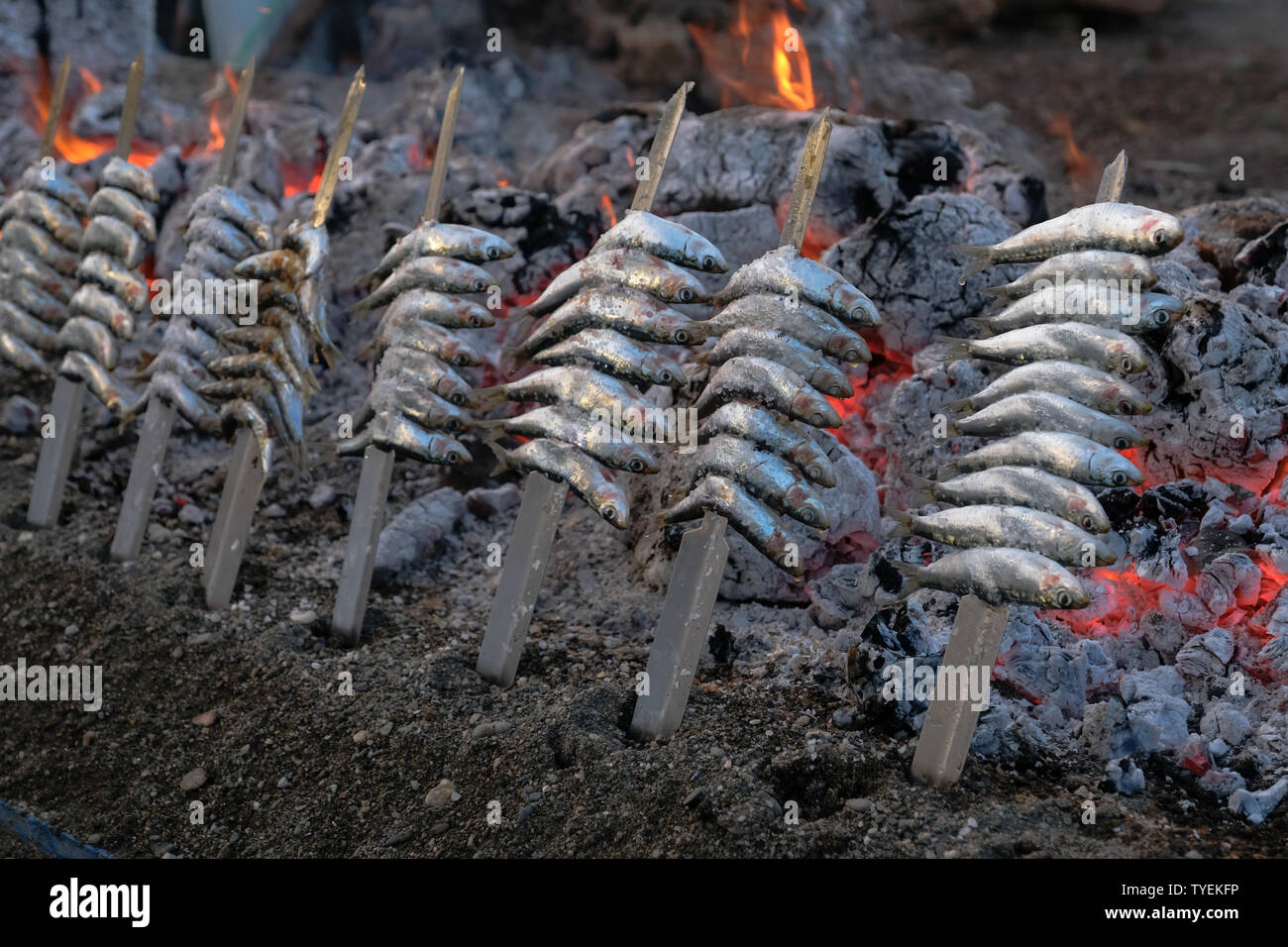 Traditional espetos or sardines cooked on the beach at Torre del Mar ...