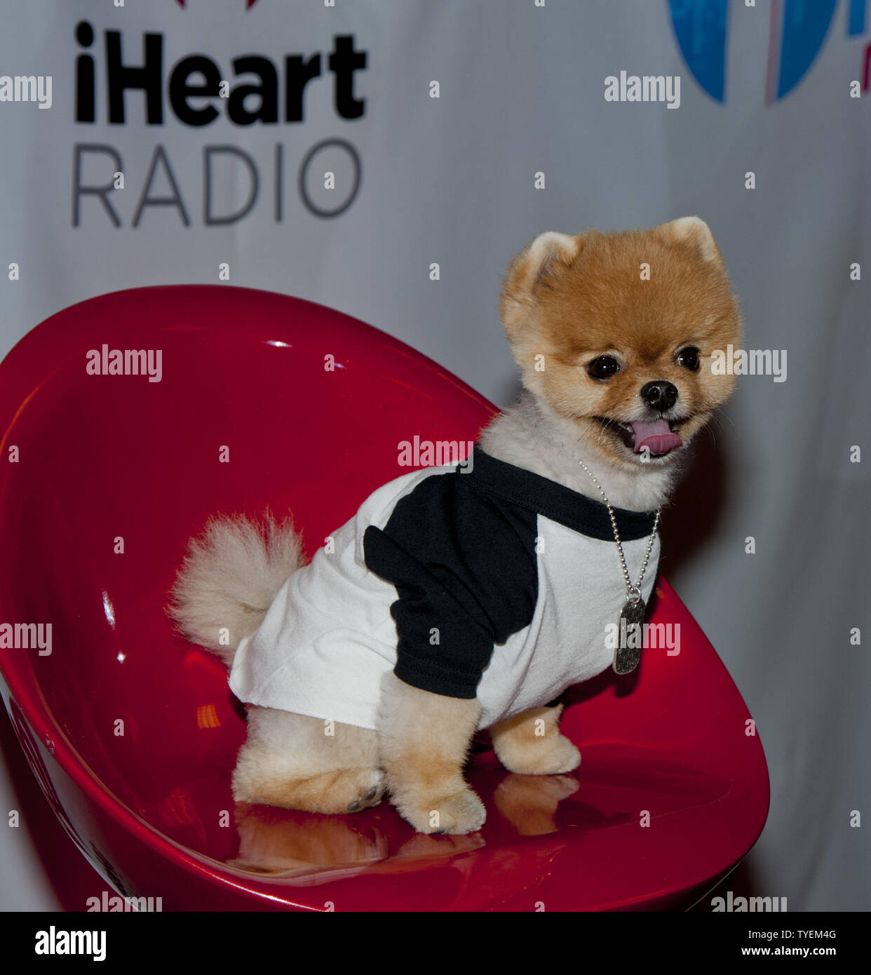 Jiffpom hi-res stock photography and images - Alamy