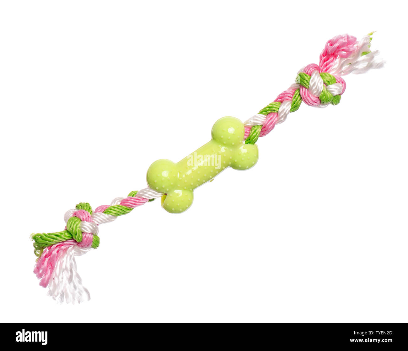 Dog health image Cut Out Stock Images & Pictures - Alamy