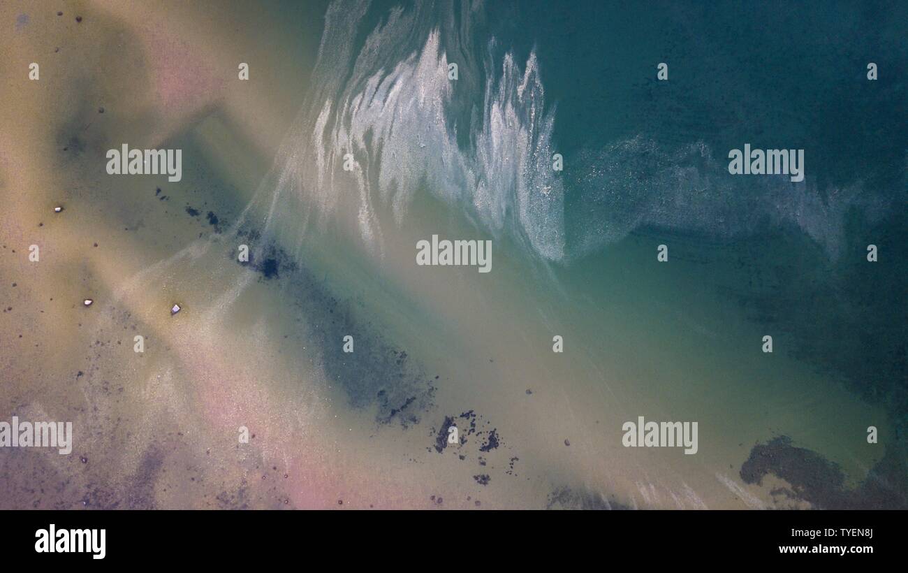 Pollen in Lake Vättern, Swedens second largest lake Stock Photo - Alamy