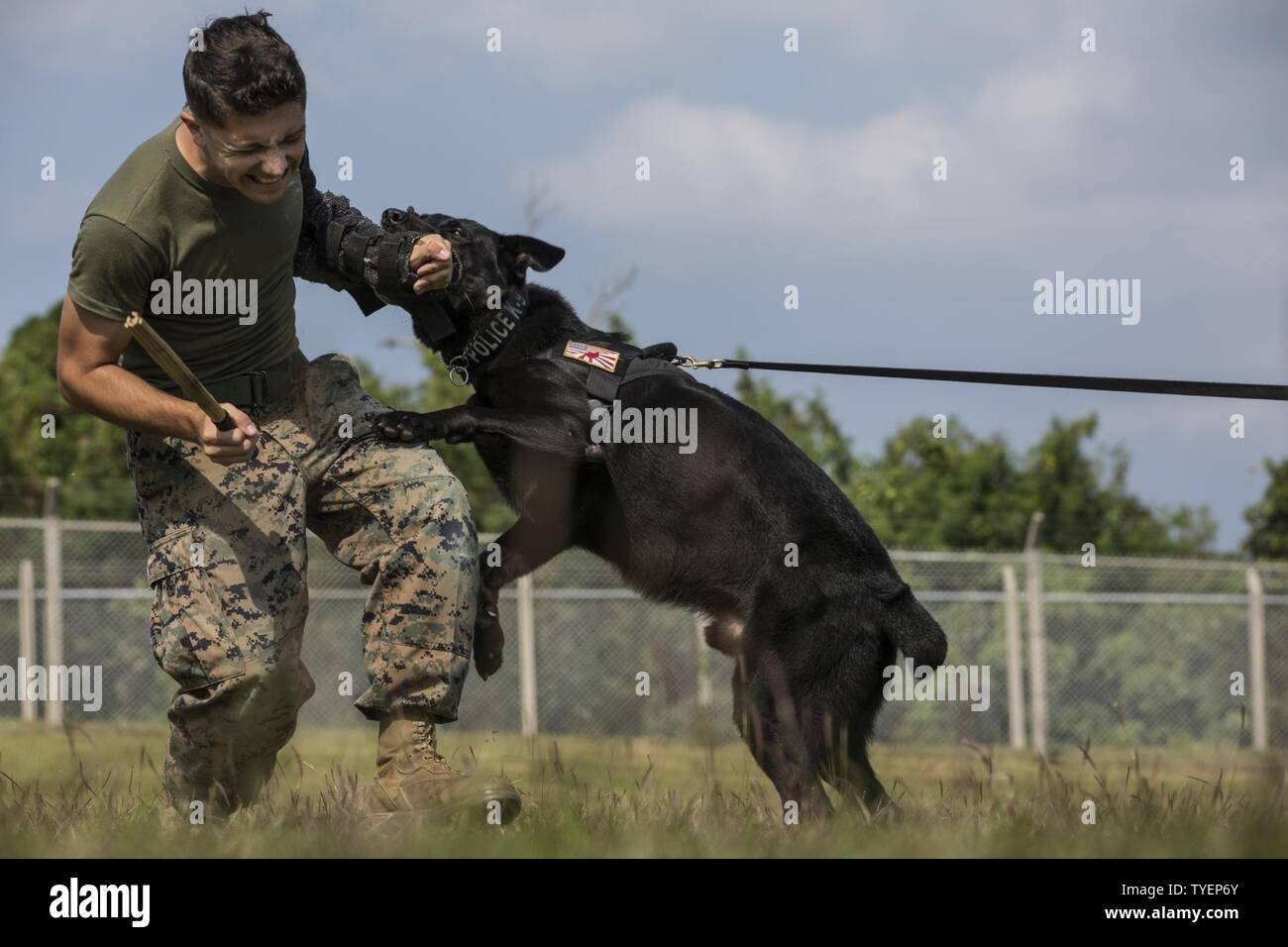 U.S. Marine Lance Cpl. Matthew Byrd, dog handler, Provost Marshall’s ...