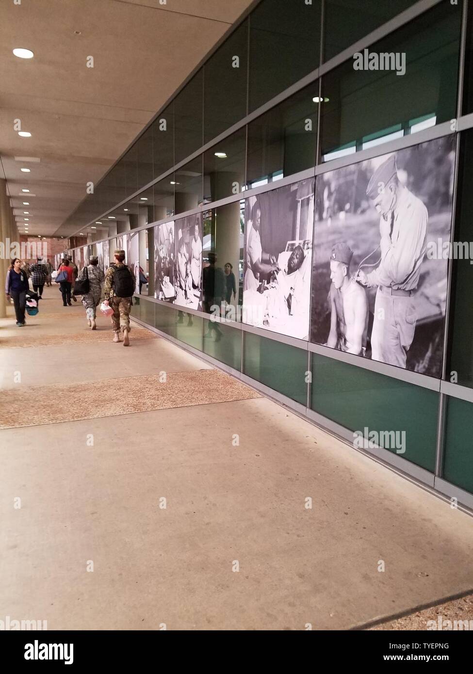 Photos of military medical personnel from World War II through ...