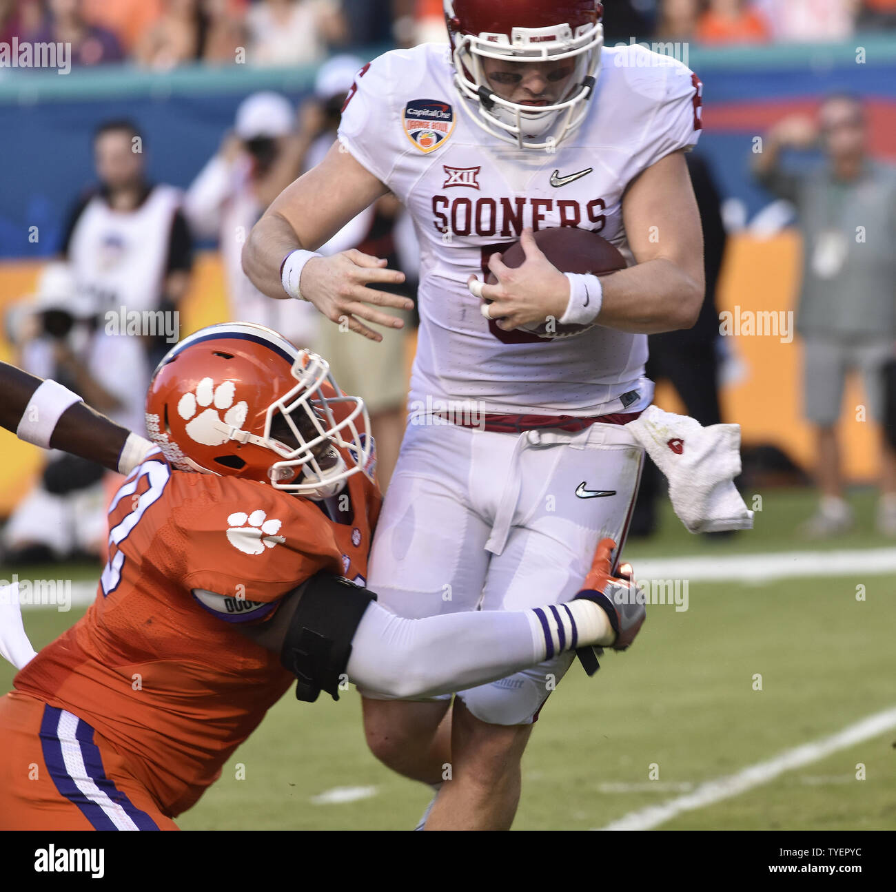 Lawson gardens hi-res stock photography and images - Alamy