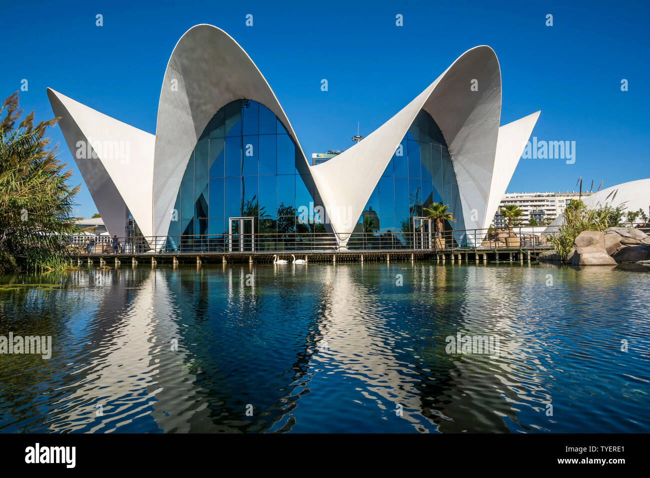 VALENCIA , SPAIN - NOVEMBER 7, 2016. Oceanographic building, a Spanish ...