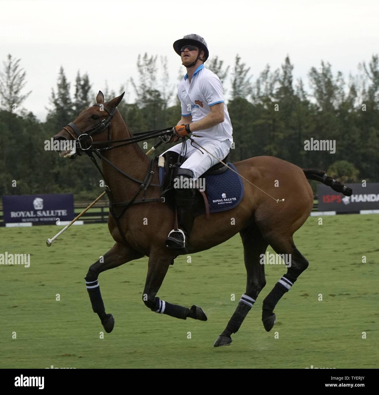 Sentebale royal salute polo cup hi-res stock photography and images - Alamy