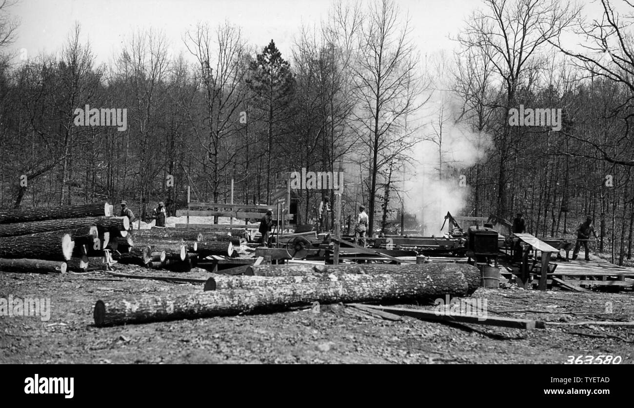 Photograph of an Efficient Ozark Sawmill in Operation; Scope and ...
