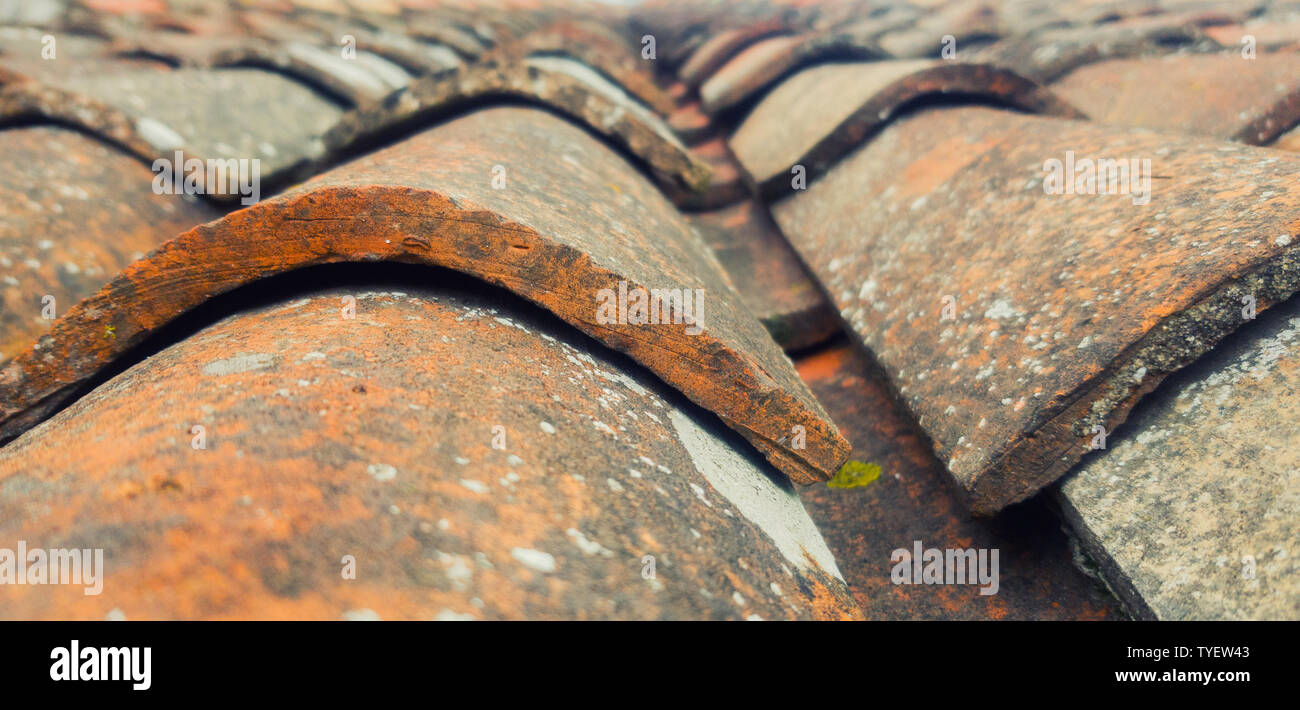 Mold on tiles hi-res stock photography and images - Alamy