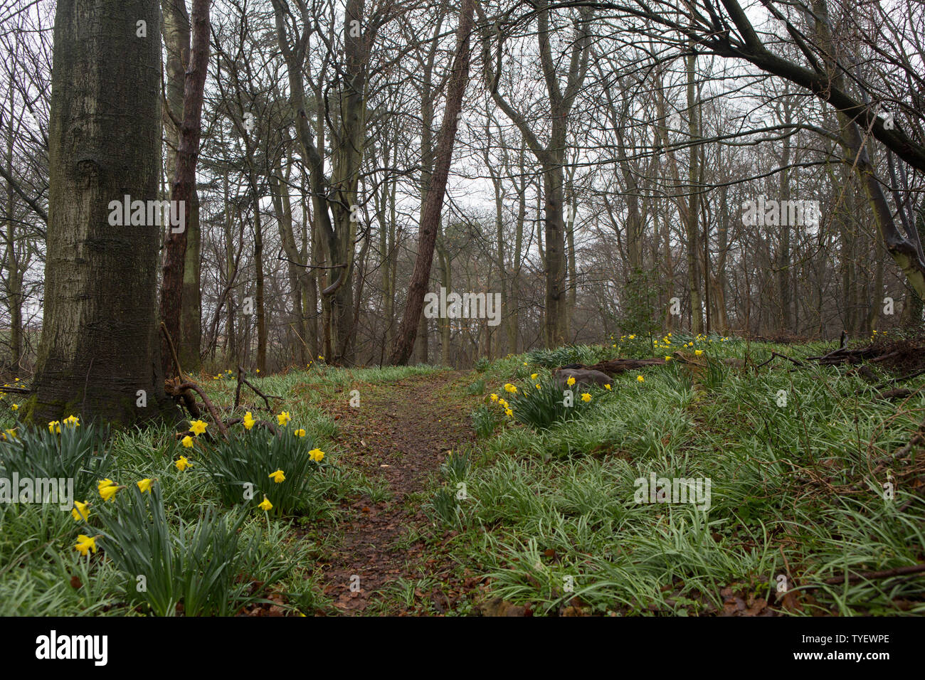 Scotland den hi-res stock photography and images - Alamy