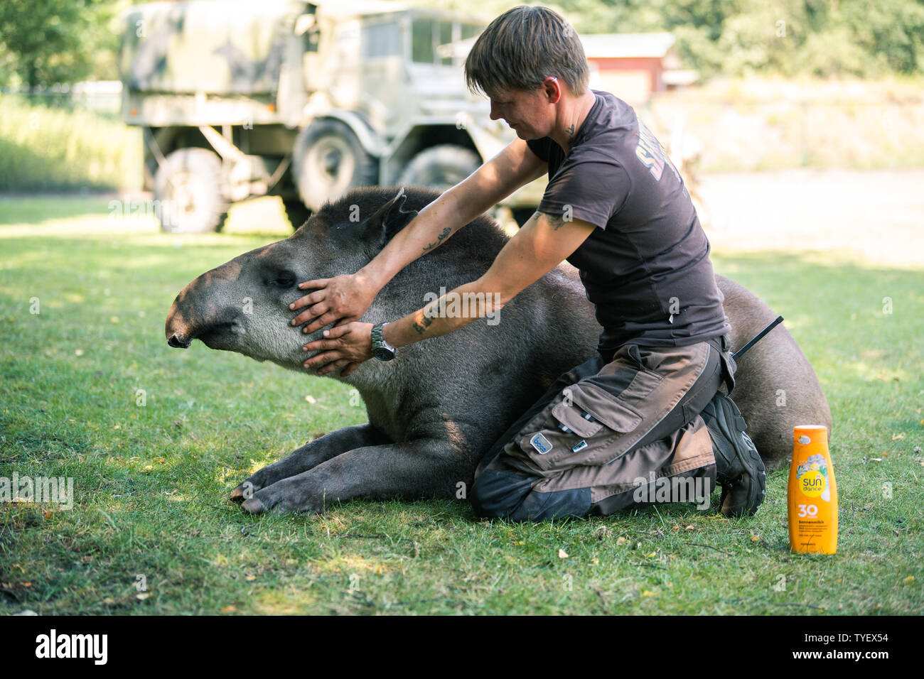 Stubby animal hi-res stock photography and images - Alamy