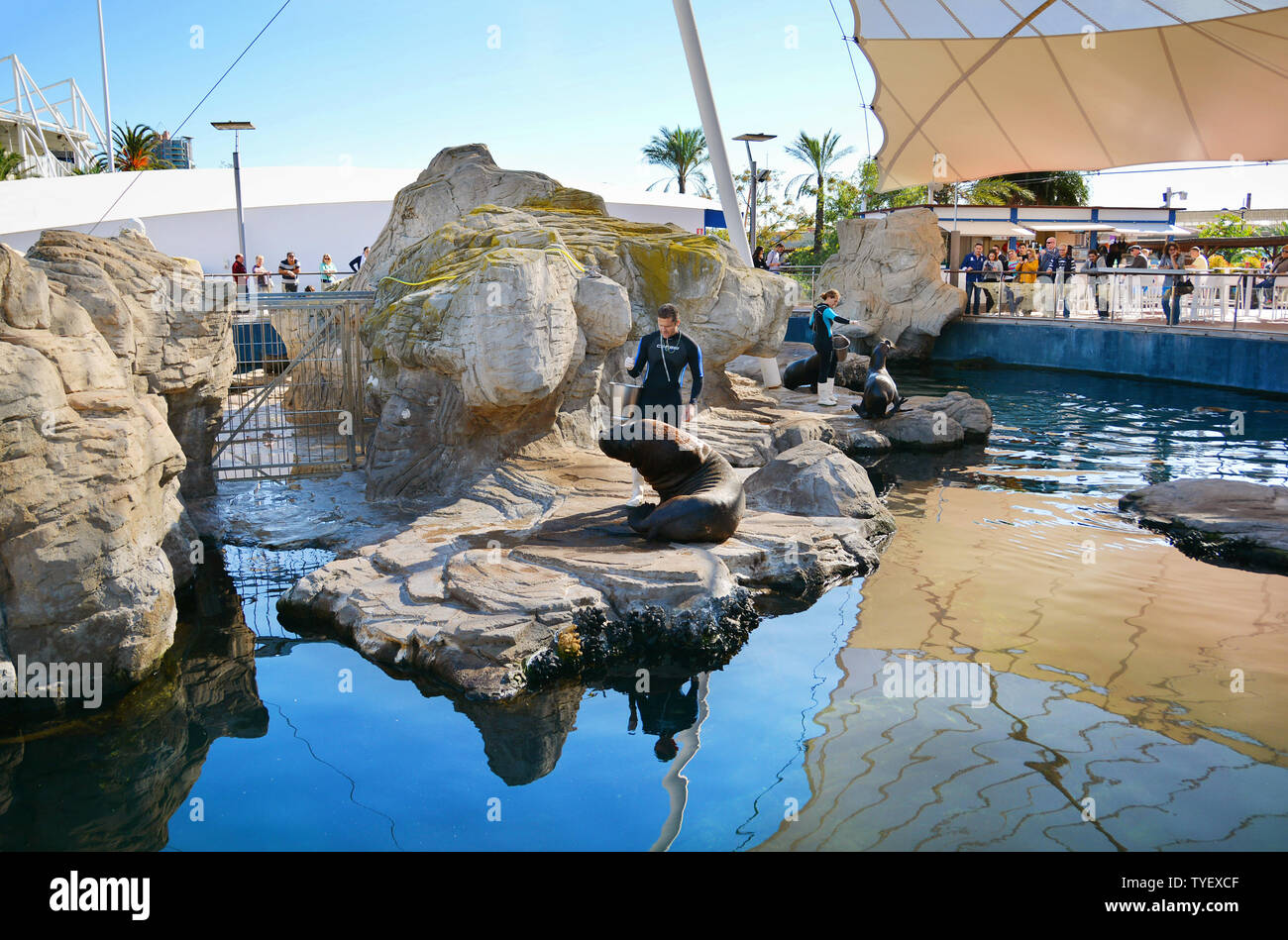 Spain, Valencia, City of Sciences and Arts, Oceanografic, the largest ...