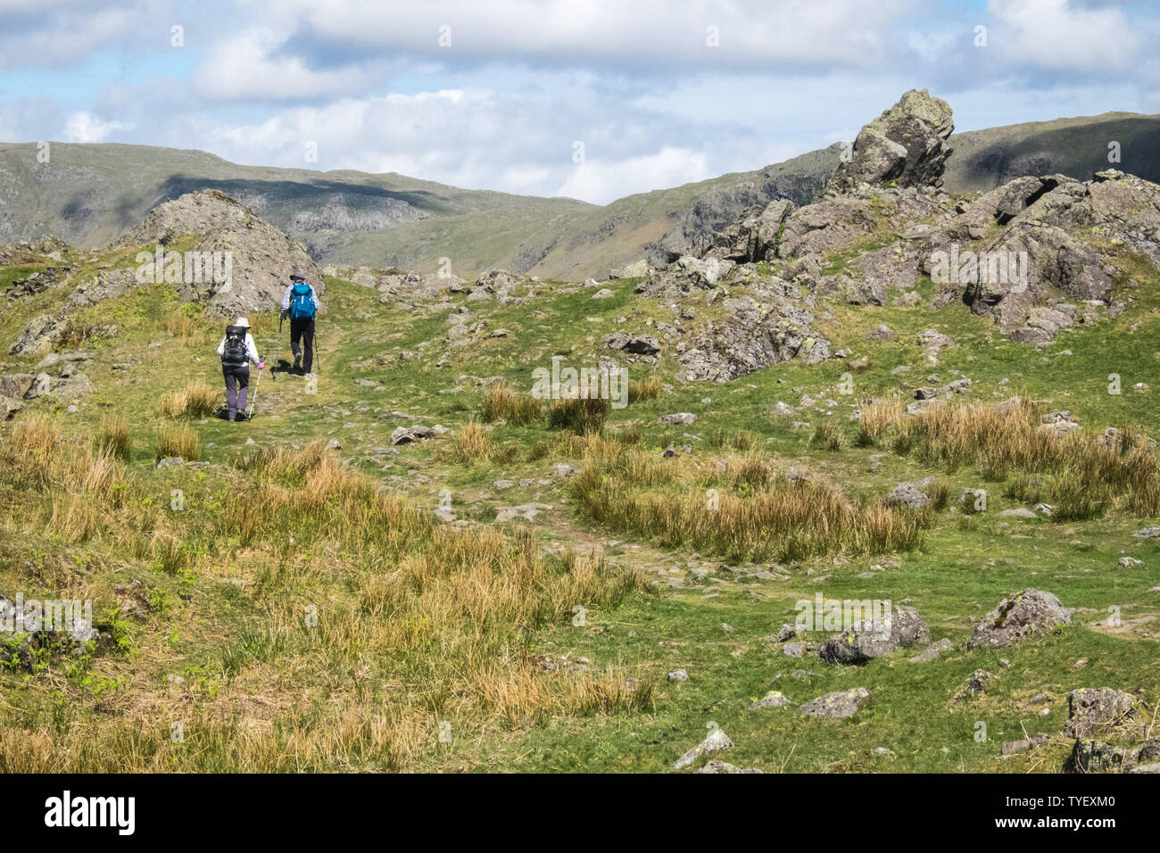 Hike,walk,walking,Hiking,above,around,Ambleside,The Lake District ...
