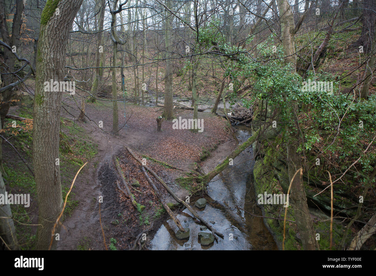 Druids and forest hi-res stock photography and images - Alamy