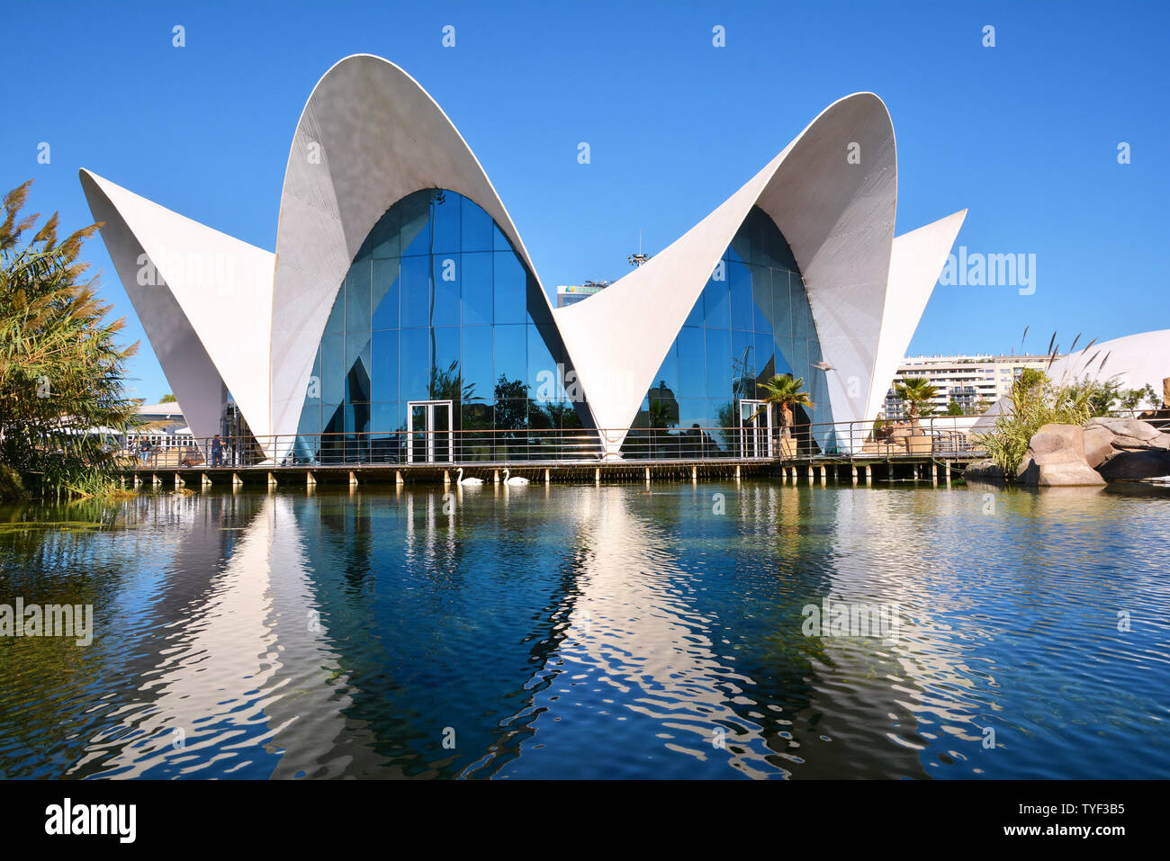 Oceanographic park and arts centre hi-res stock photography and images ...