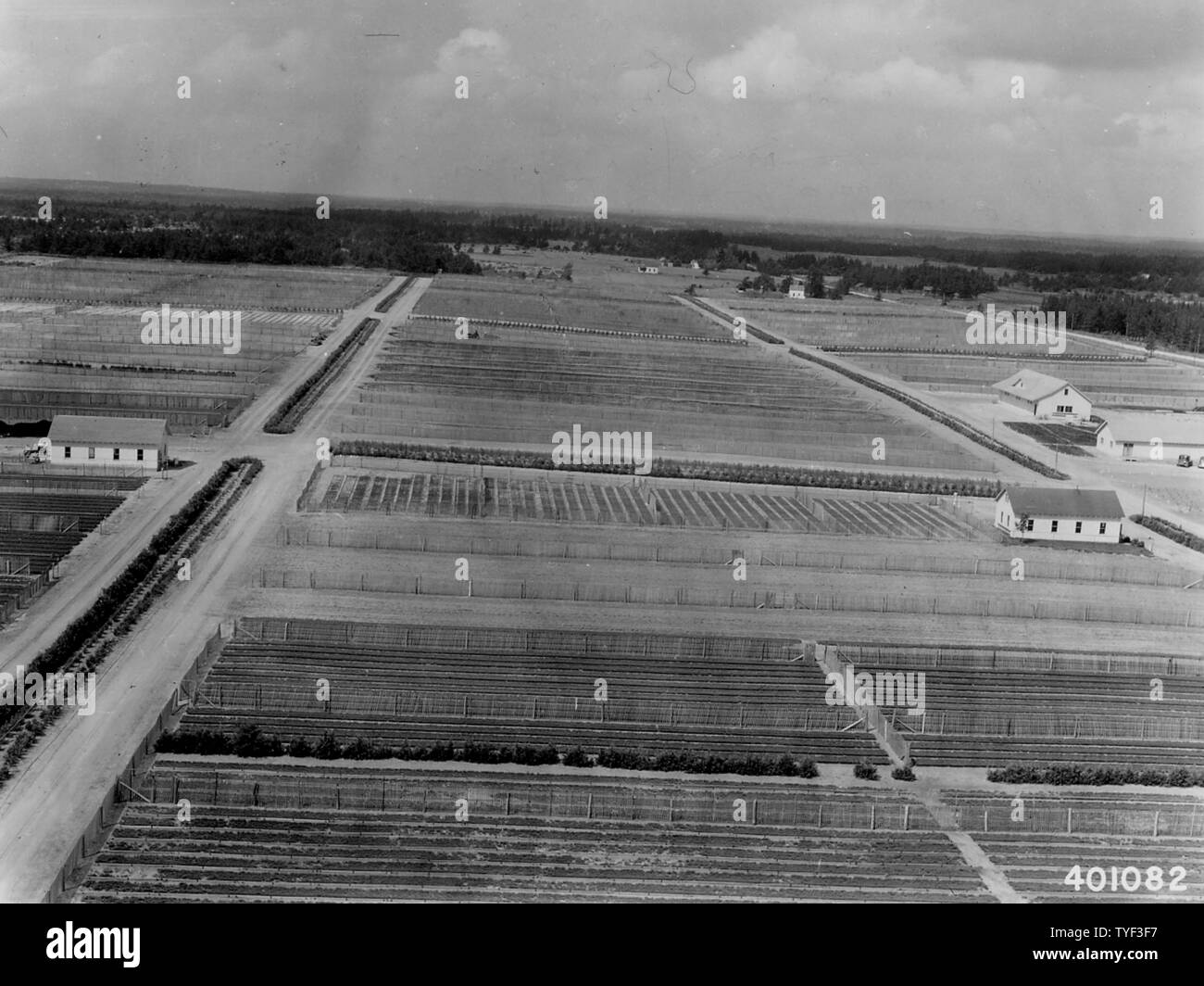 Photograph of the Lydick Nursery at Cass Lake in Minnesota; Scope and ...