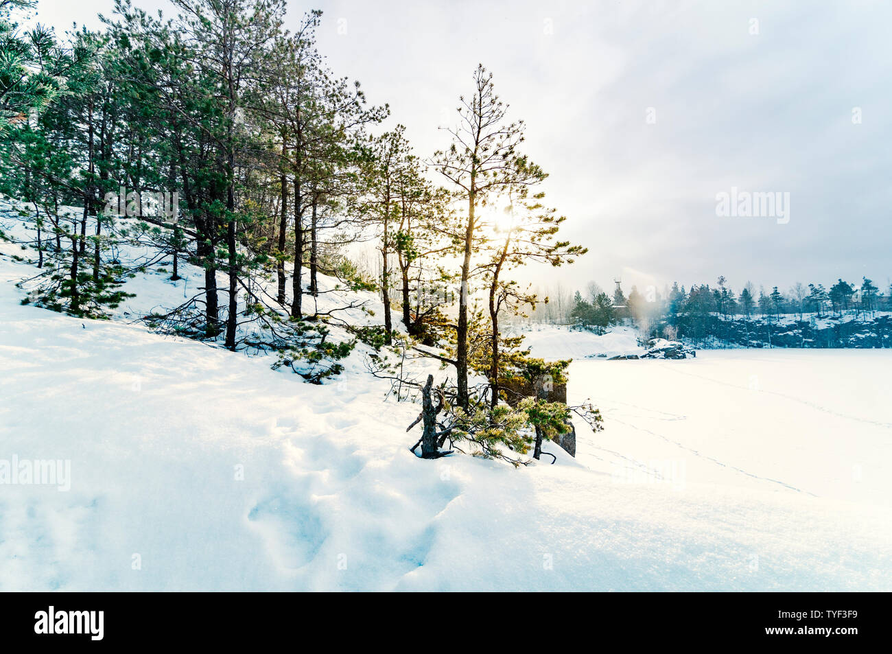Nordic winter hi-res stock photography and images - Alamy