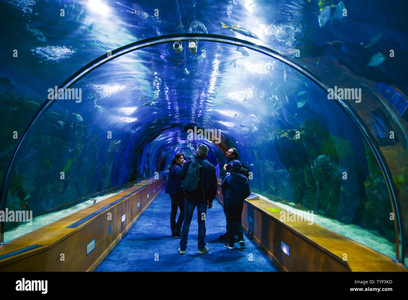 Building underwater tunnel hi-res stock photography and images - Alamy