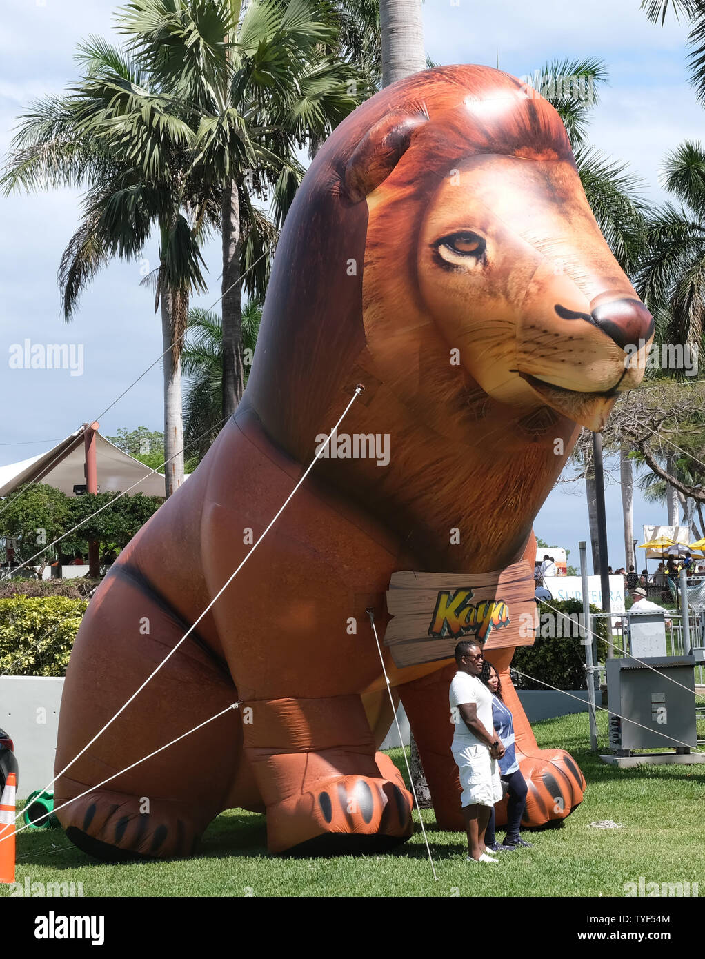 Rasta fans pose for a photo at the KAYA music fest at Bayfront park in ...