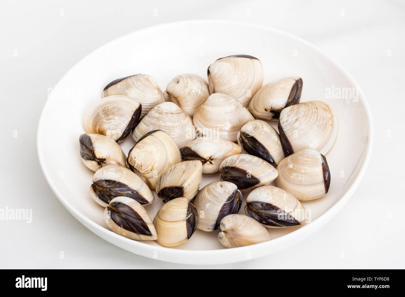 Shellfish exoskeletons hi-res stock photography and images - Alamy