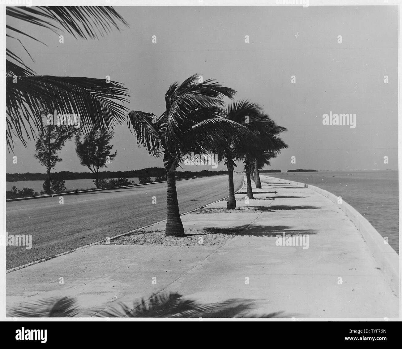 A photograph of the famous Keys Highway between Boca Chica and Key West ...