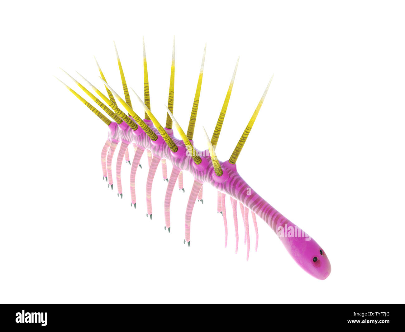 Hallucigenia hi-res stock photography and images - Alamy