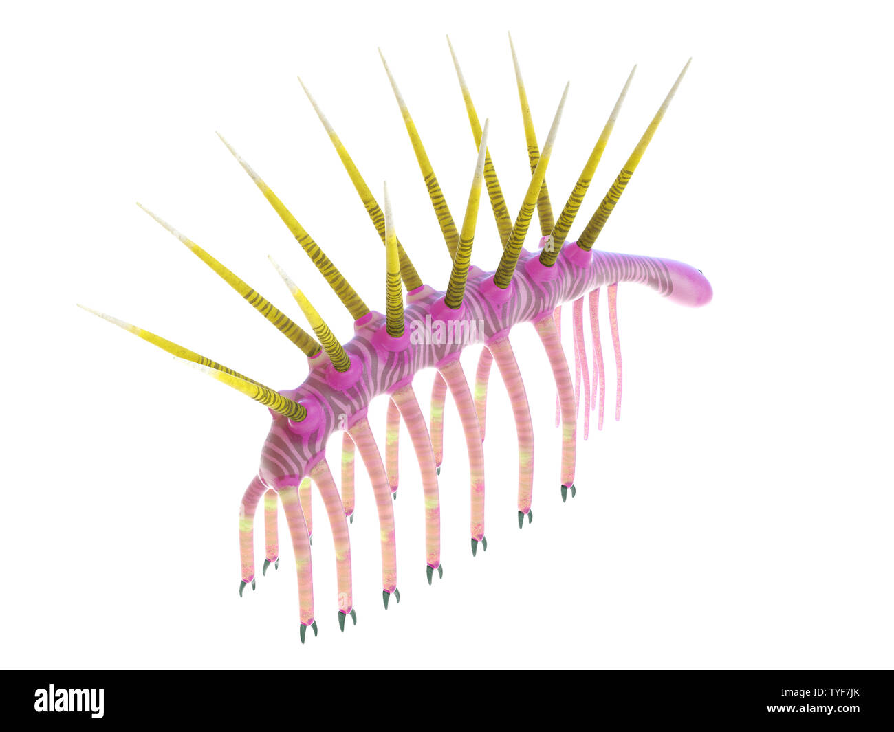 3d rendered illustration of a Hallucigenia Stock Photo - Alamy
