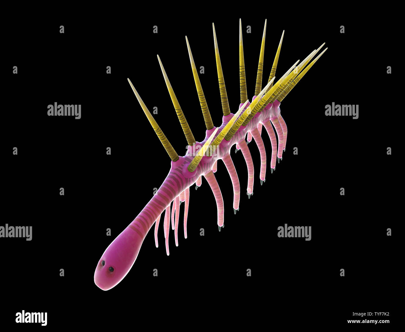 3d rendered illustration of a pre-historic marine creature ...