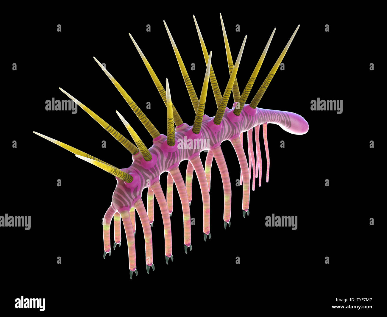 3d rendered illustration of a pre-historic marine creature ...