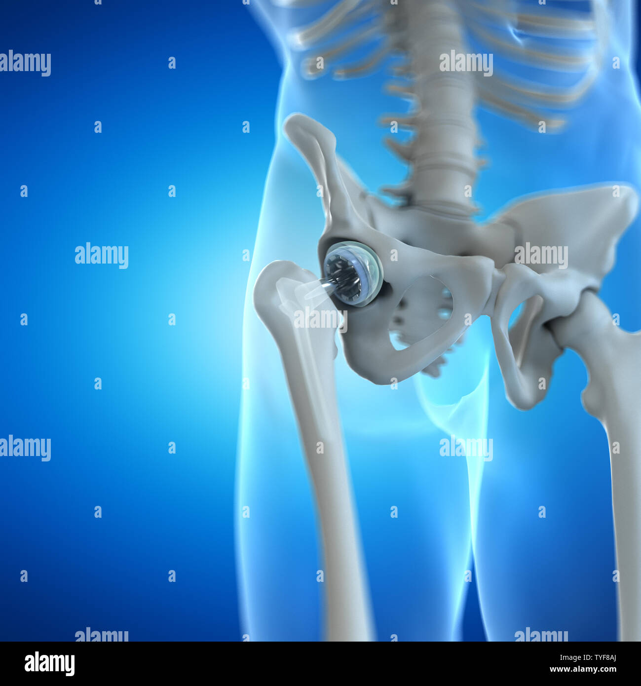 Pelvis pelvis tab hi-res stock photography and images - Alamy