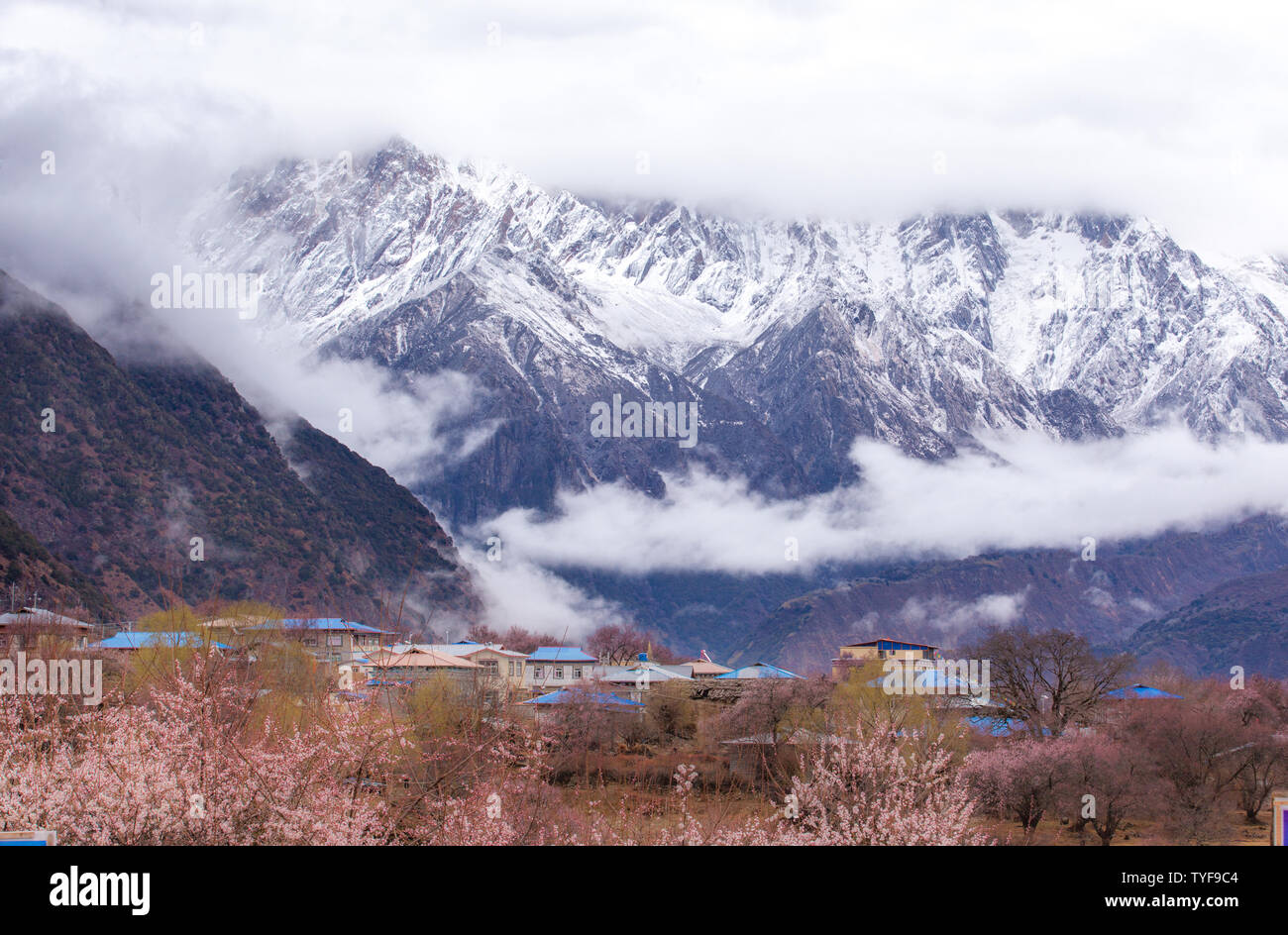 Tibetan scenery hi-res stock photography and images - Alamy